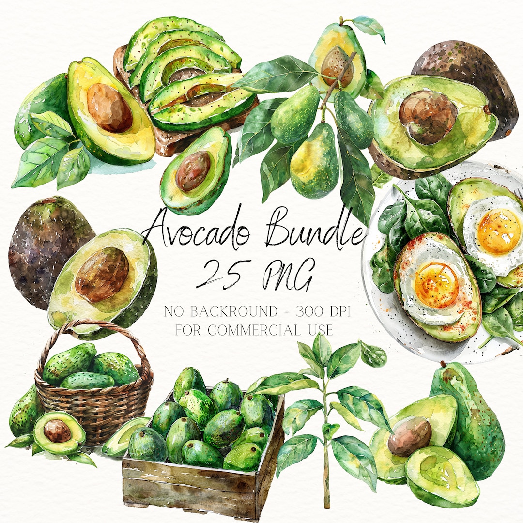 Watercolor Avocado Clipart, Avocado Toast, Avocados in Basket, Avocado ...