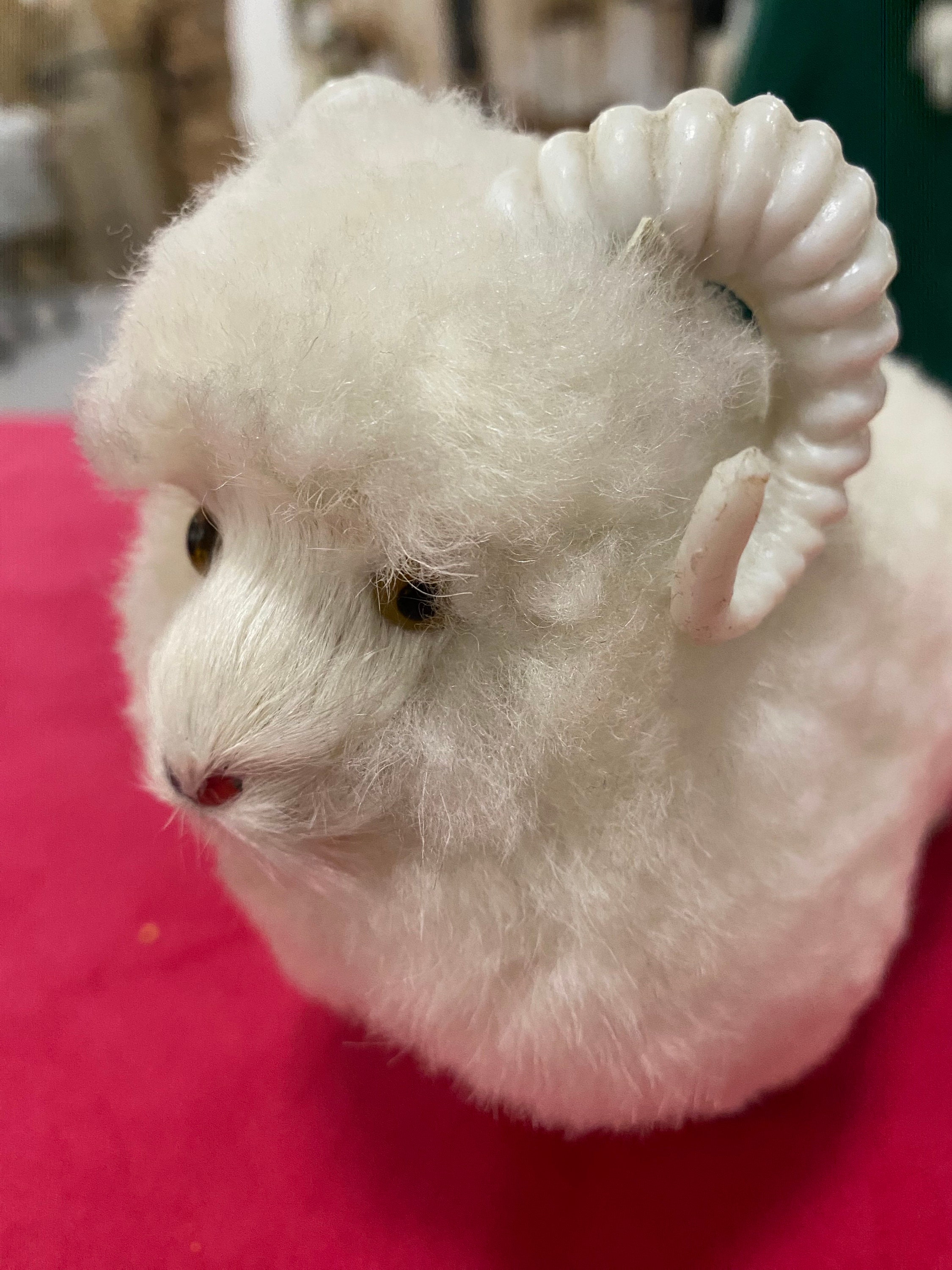 Antique Toy sheep, Circa 1950, Europe. Natural White Sheepskin. the ...