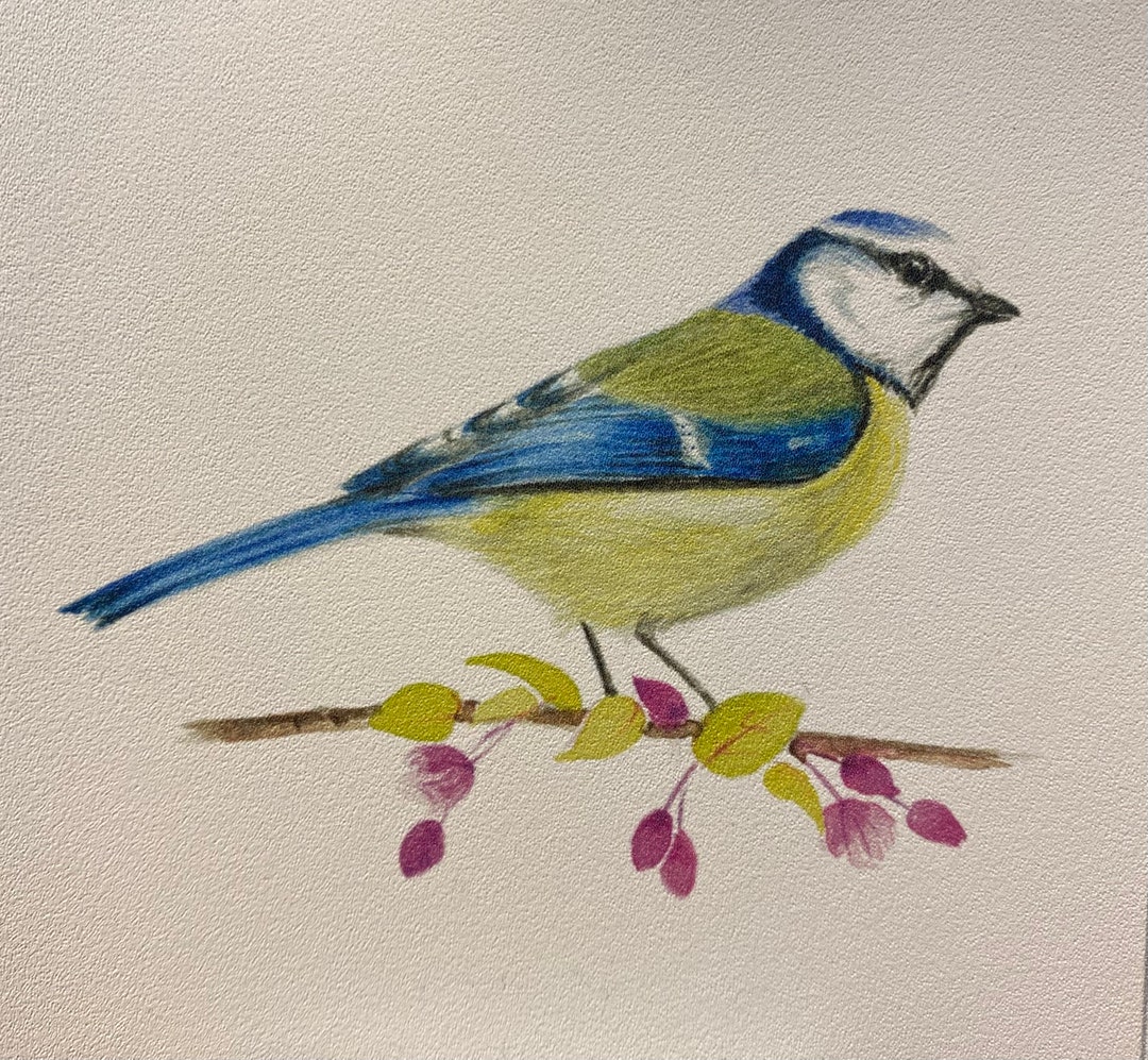 Picture of a Blue Tit. Art Print From the Watercolor, Framed and Signed ...