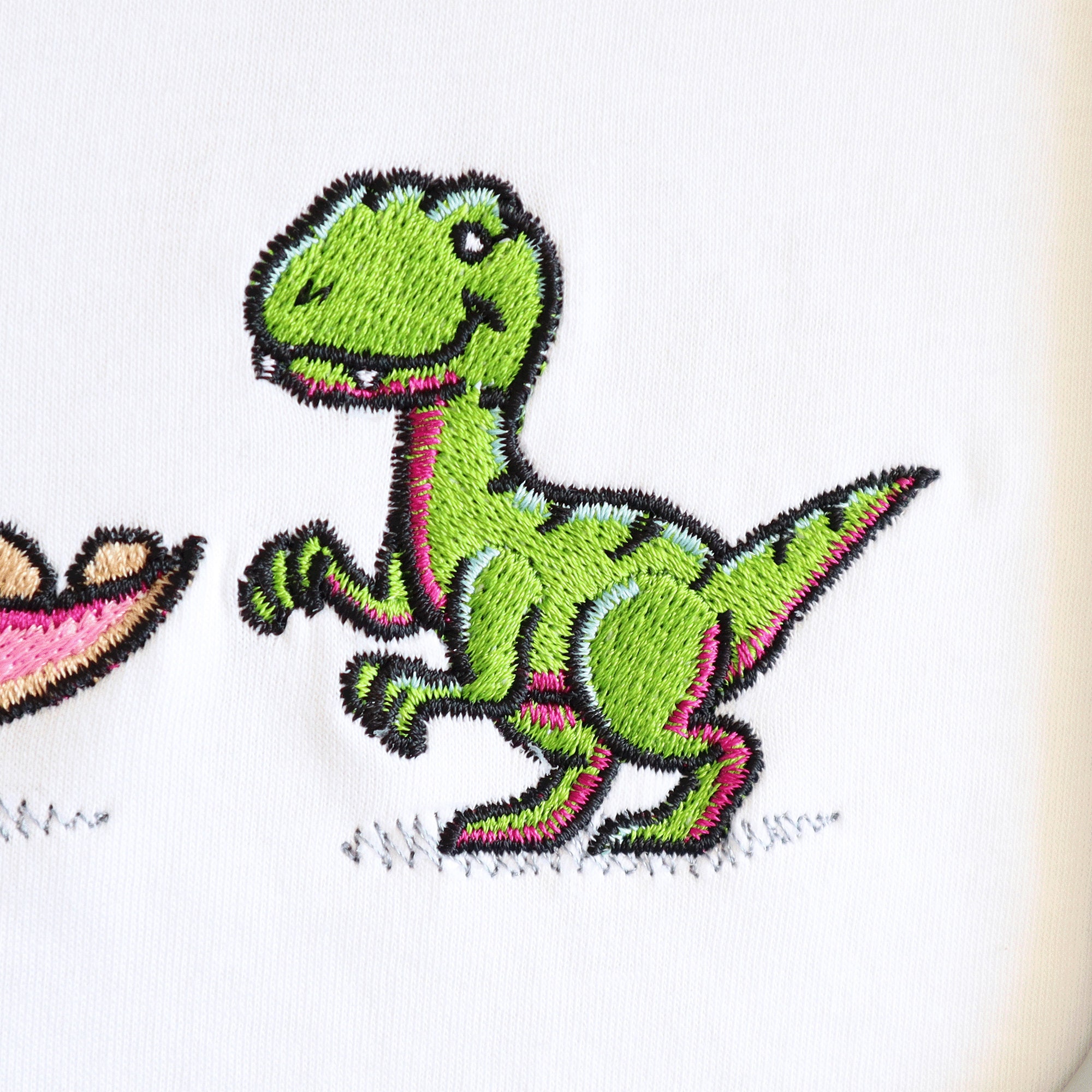 Baby Raptor Dinosaur, Embroidery Art Design, Machine Embroidery File ...