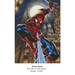 Spider Man Cross Stitch Pattern / Marvel Cross Stitch Pattern / Spider ...