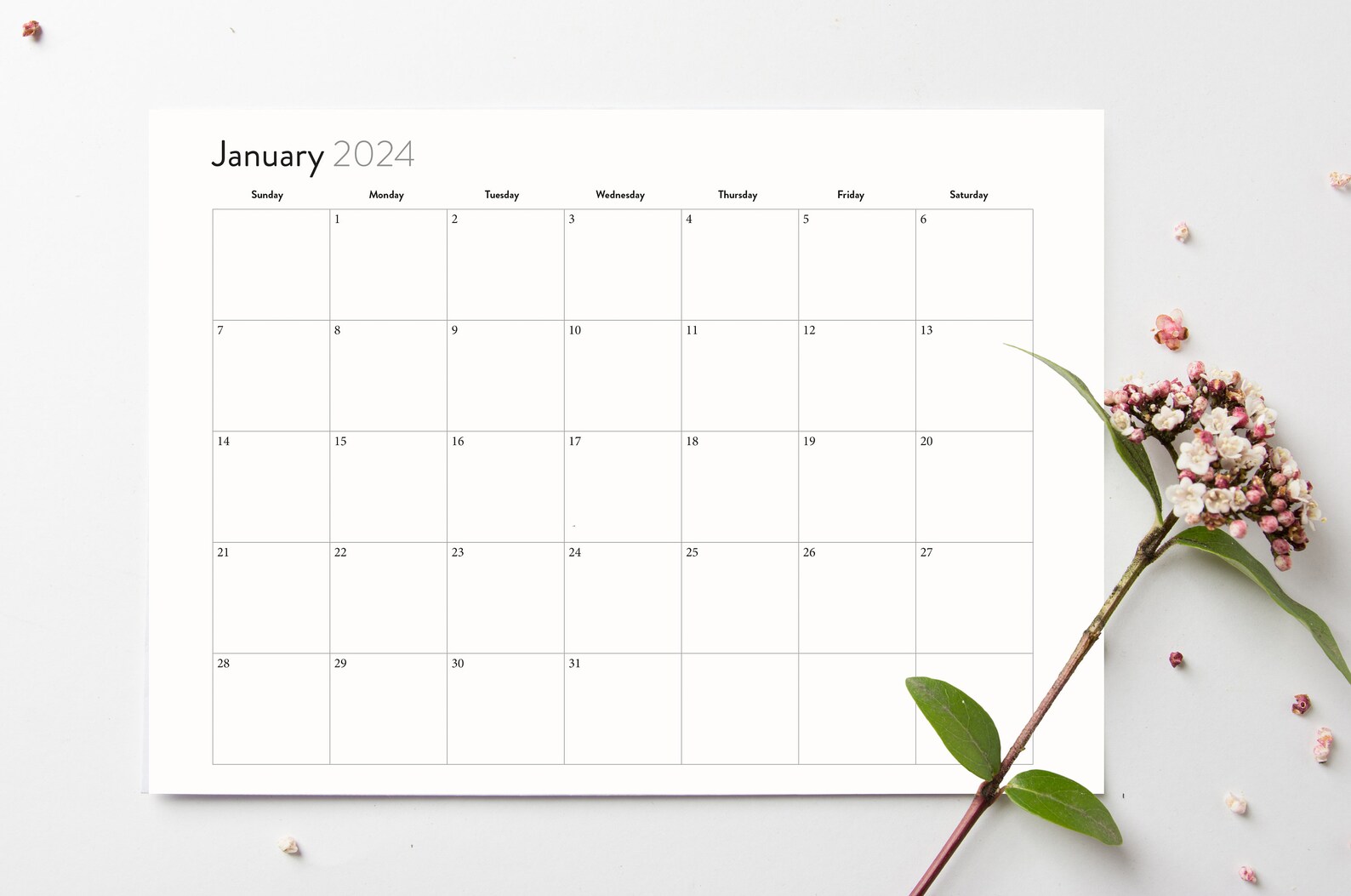 Printable 2024 Calendar Each Month | US Letter Size | Landscape ...