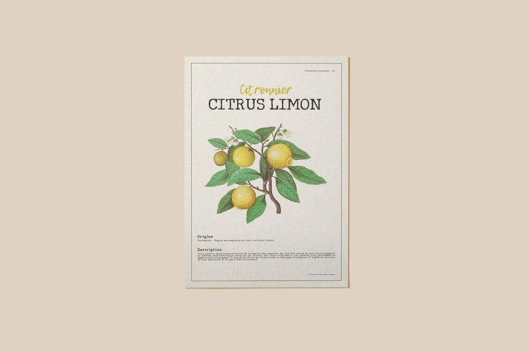 Decoration Vintage Poster: Botanical Almanac Number 1 - Etsy