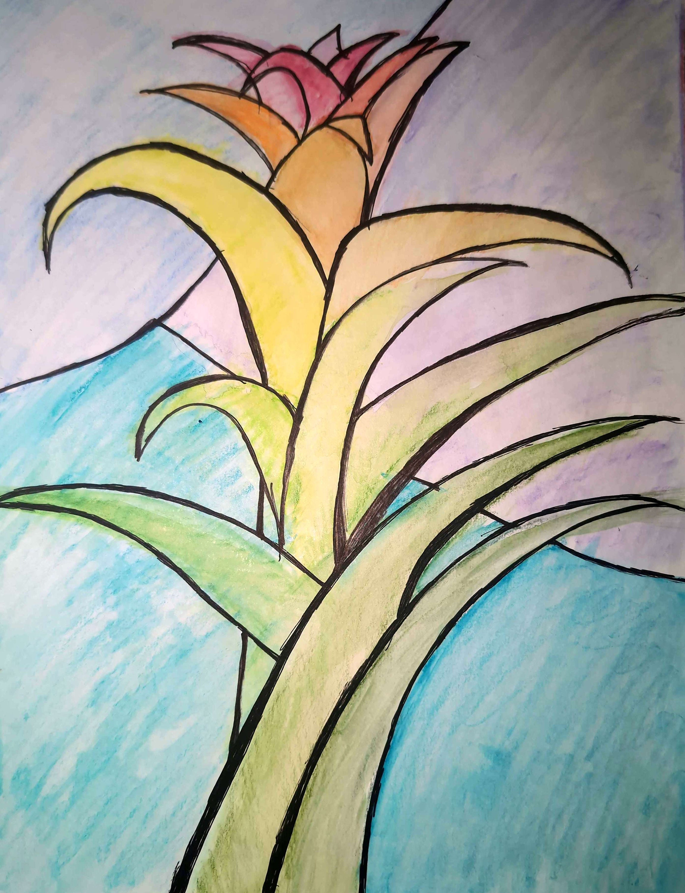 Bromeliad - Etsy