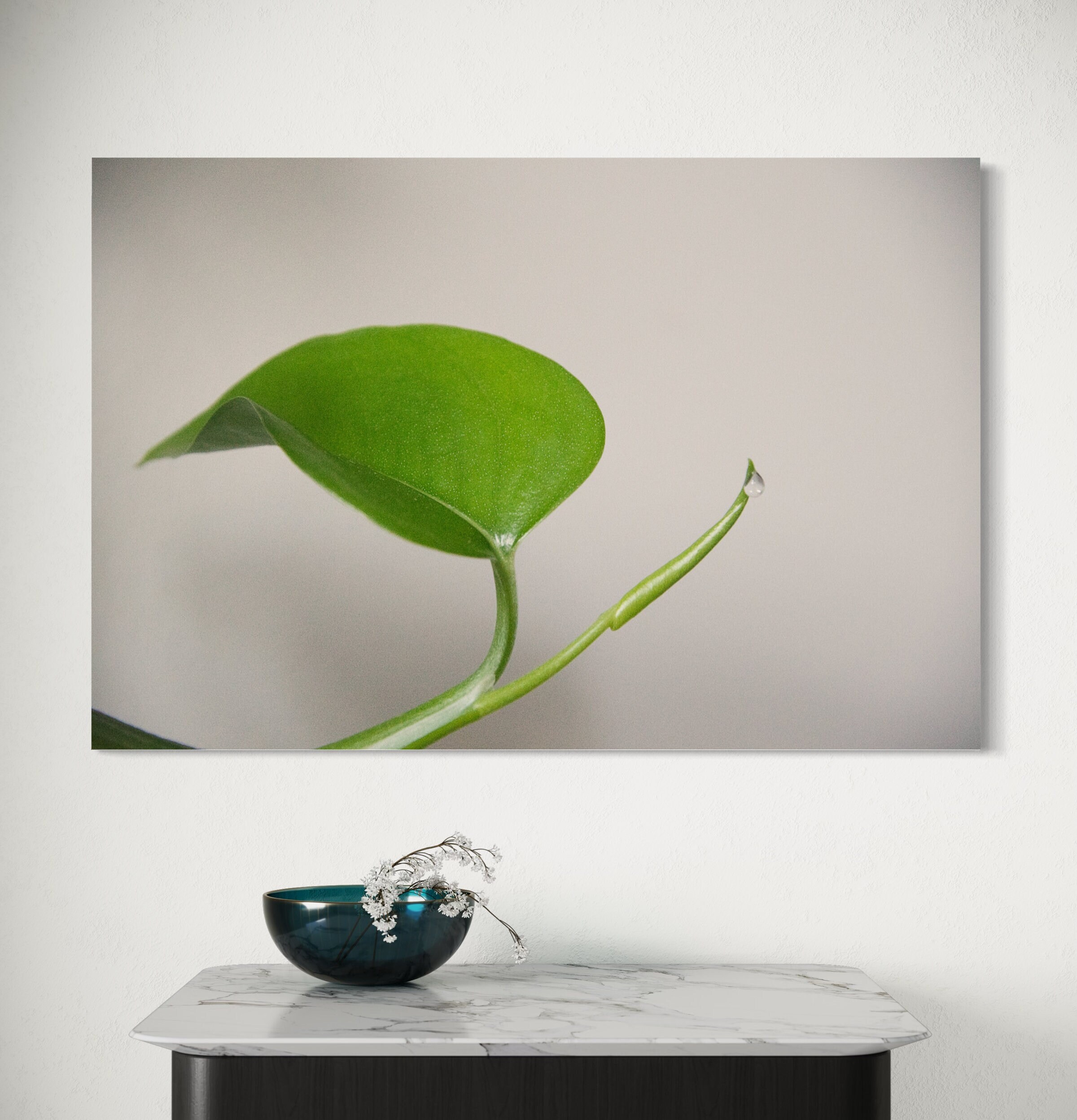 Captivating Close-up: Vibrant Green Pothos Leaf for Your Nature Home ...