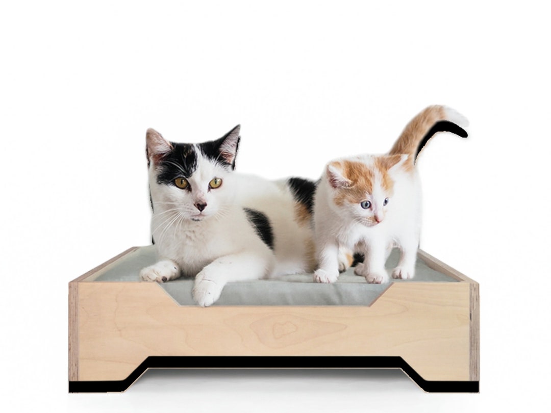 LUND Cat Bed Inspired by the Dynamic Vibes of Lund, Sweden - Etsy