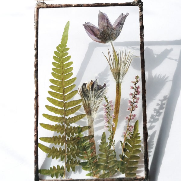 Pressed Botanicals - Etsy