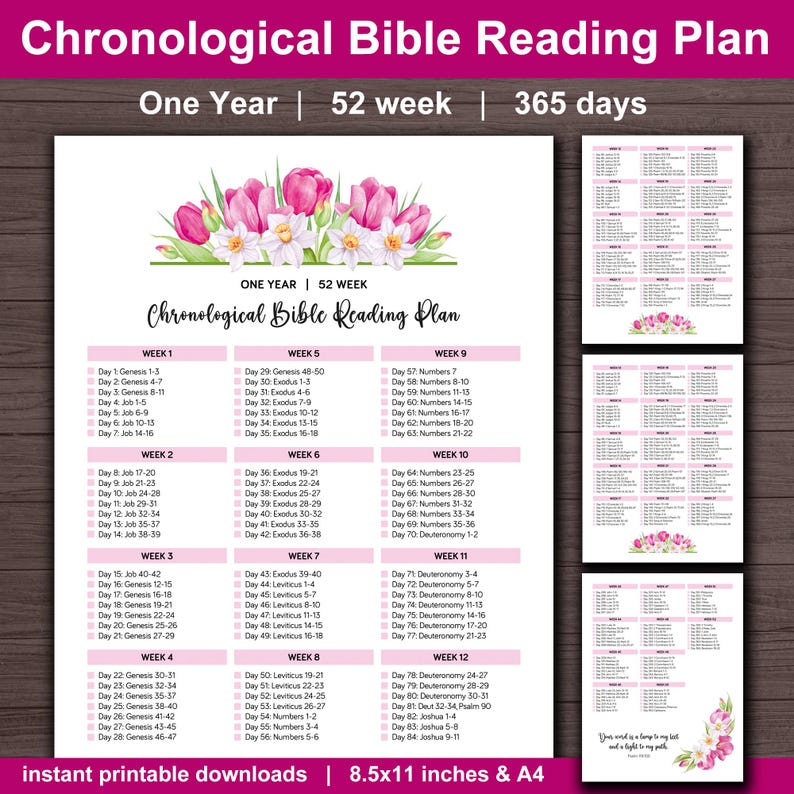 One Year Bible Plan Printable Tracker. Chronological Bible Reading Plan ...