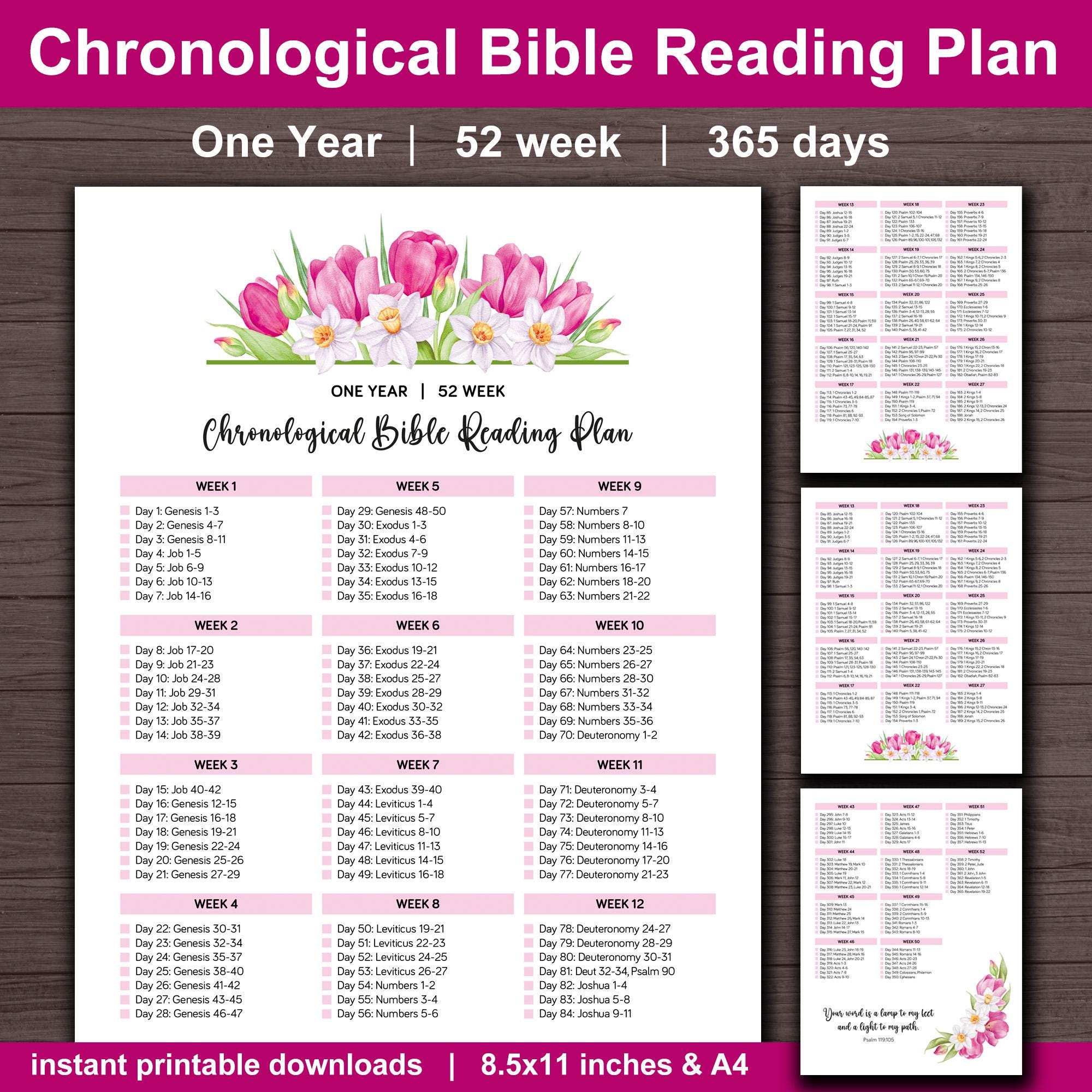One Year Bible Plan Printable Tracker. Chronological Bible Reading Plan ...