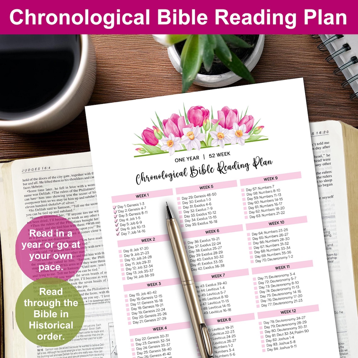 One Year Bible Plan Printable Tracker. Chronological Bible Reading Plan ...