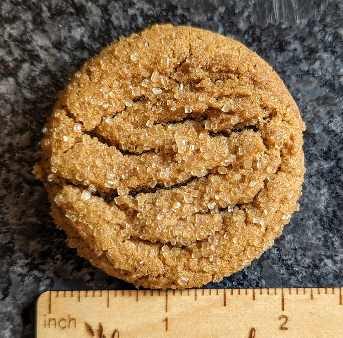 18 Soft, Spicy, Ginger Cookies Party Size - Etsy