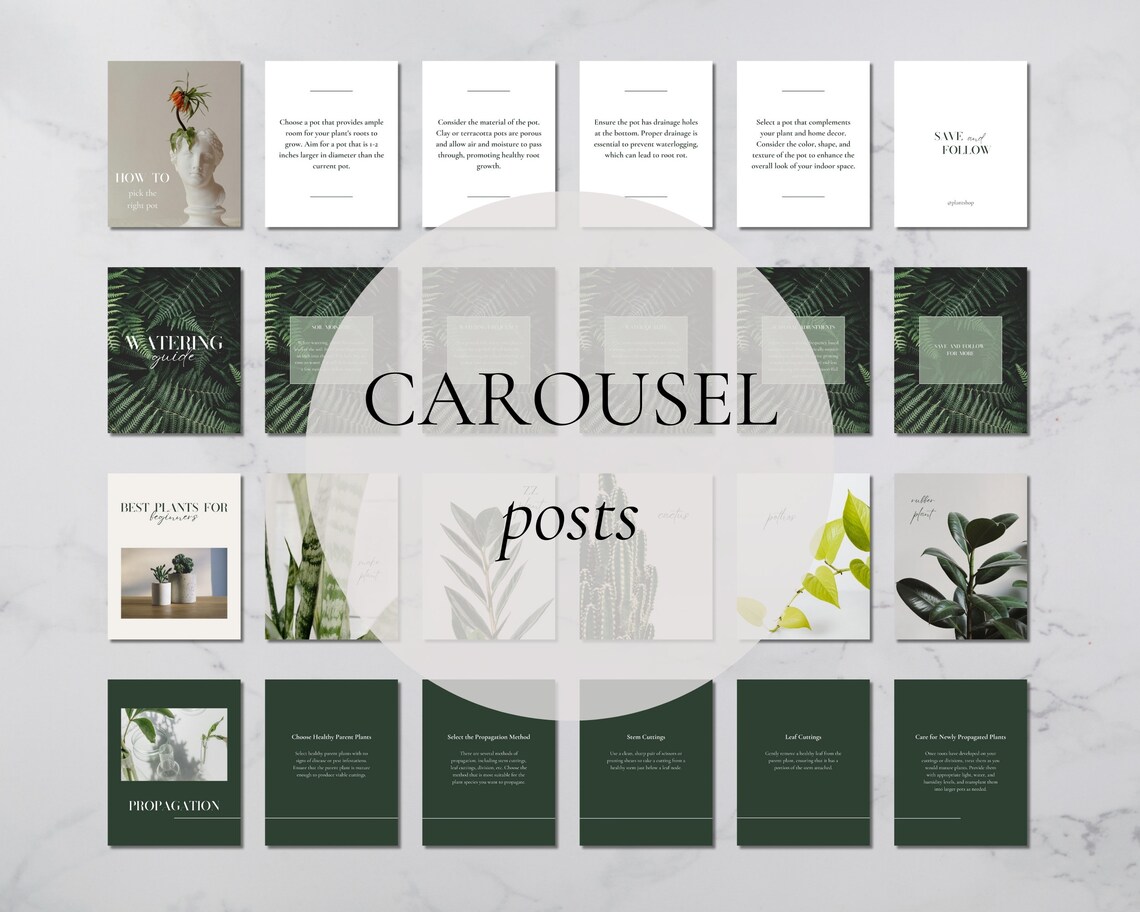 Plant Shop Canva Template Editable, Houseplants Social Media Content ...