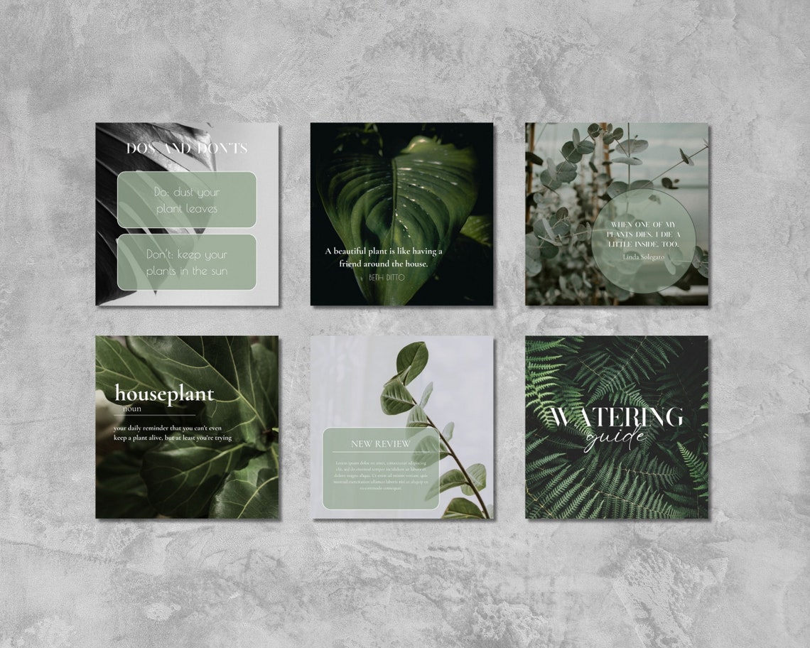 Plant Shop Canva Template Editable, Houseplants Social Media Content ...