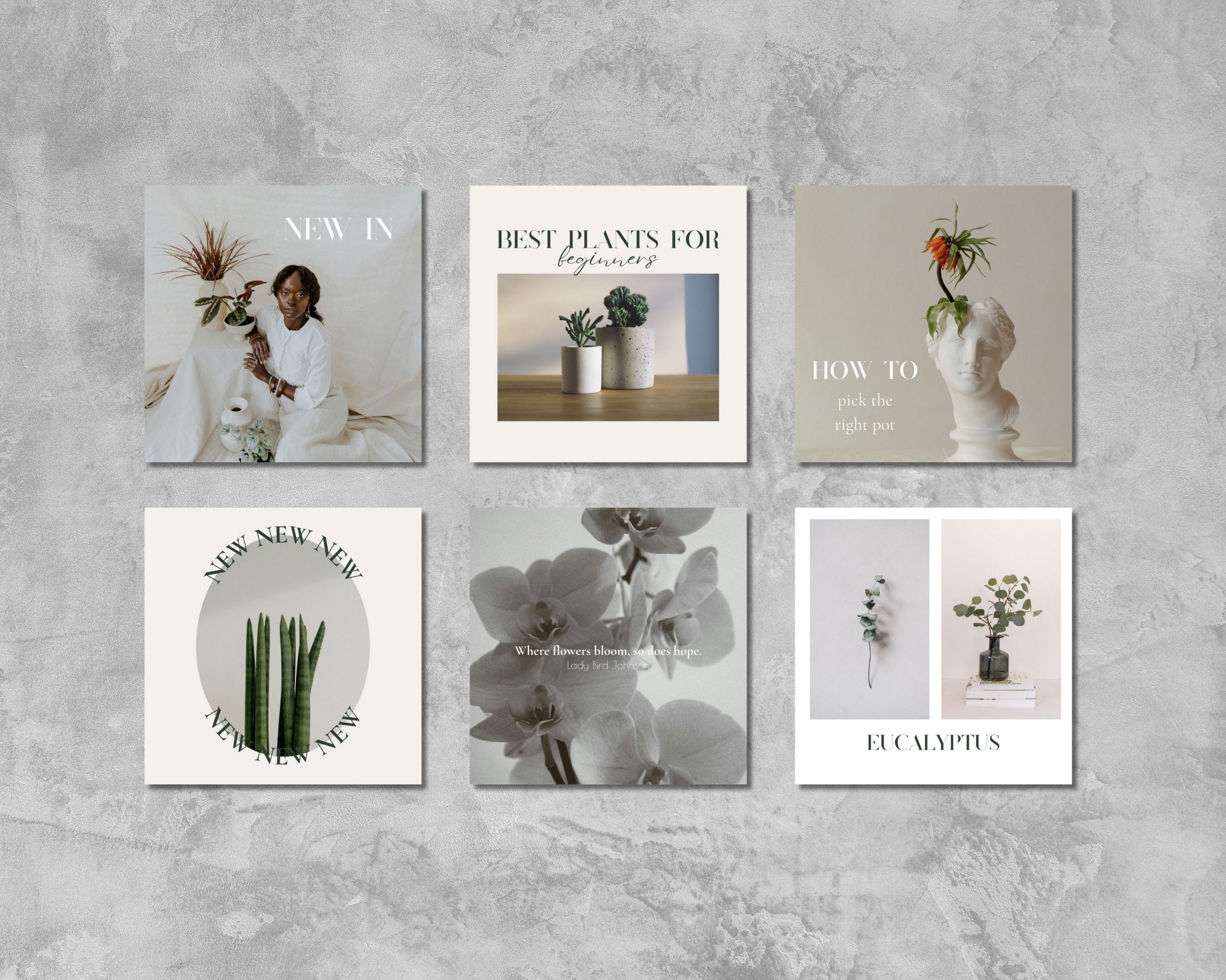 Plant Shop Canva Template Editable, Houseplants Social Media Content ...