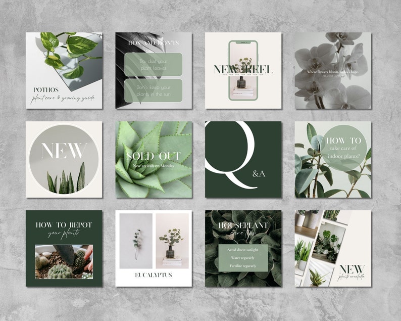 Plant Shop Canva Template Editable, Houseplants Social Media Content ...