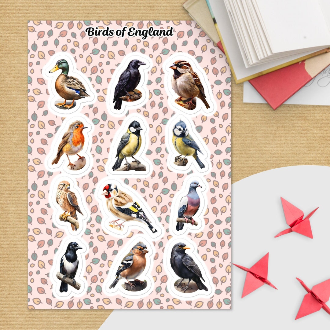 Bird Stickers Birding Sticker Sheet of Birds Found in England. Amazing ...