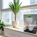 Yoga Mat Boat Pose Planter Teaser Pose Succulent Planter, Yoga Planter ...