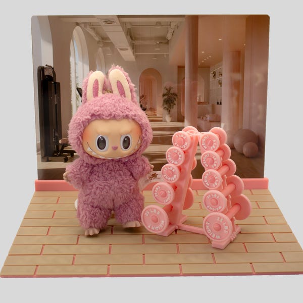 Labubu Display Cases - Etsy