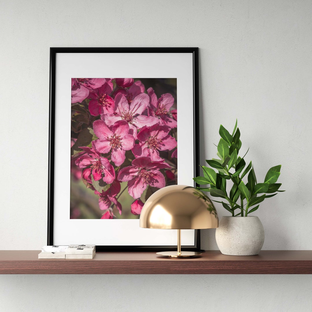 Pink Apple Blossoms, Printable Floral Wall Art, Close up Flower Image ...