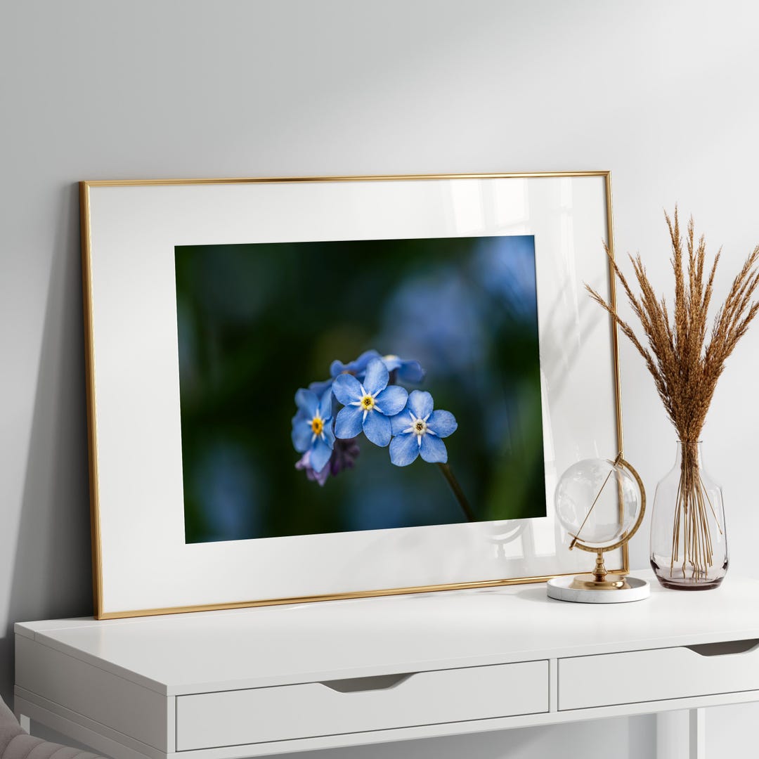 Blue Forget-me-not, Printable Flower Wall Art, Home Decor Poster ...