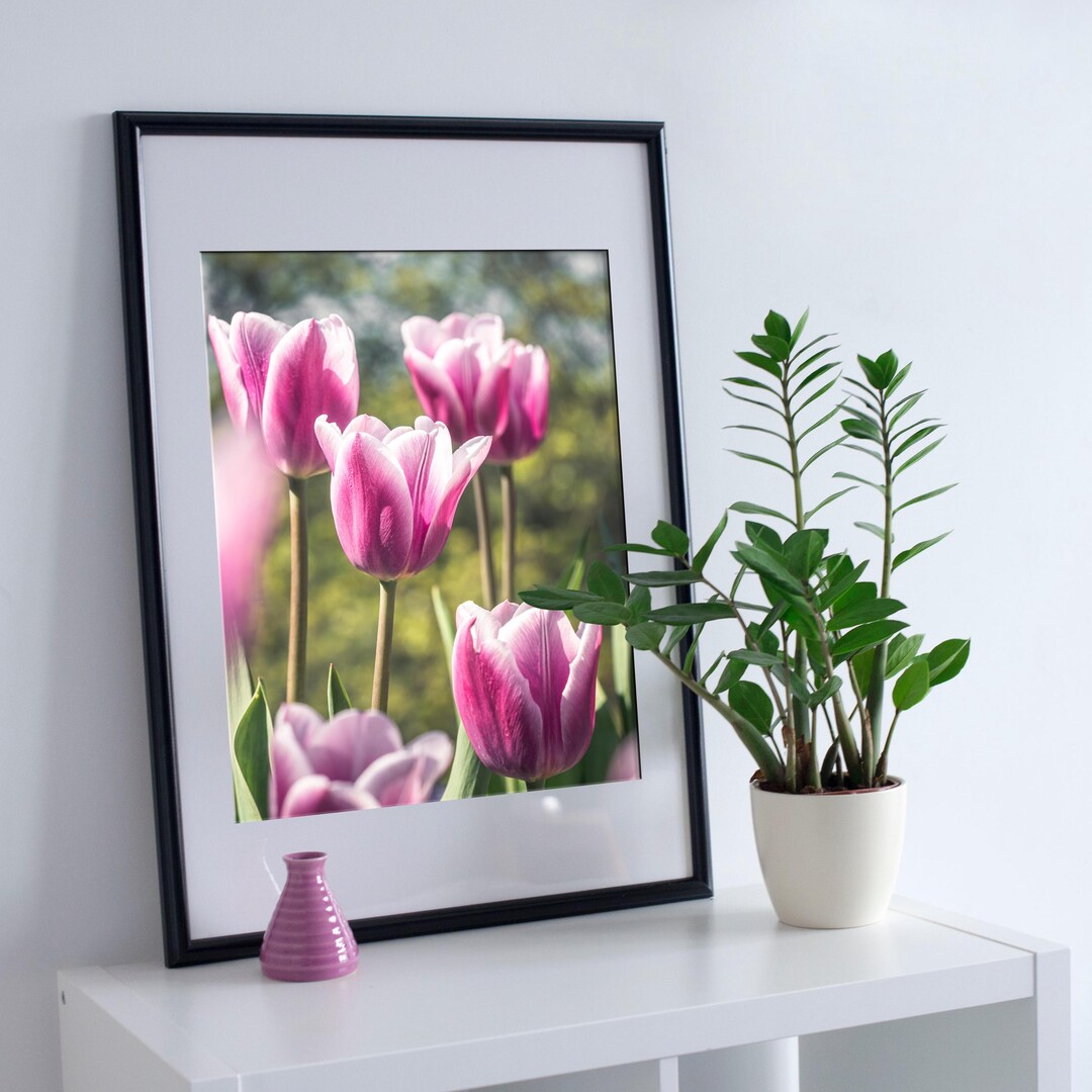 Pink Tulips, Printable Floral Wall Art, Colorful Home Decor Poster ...