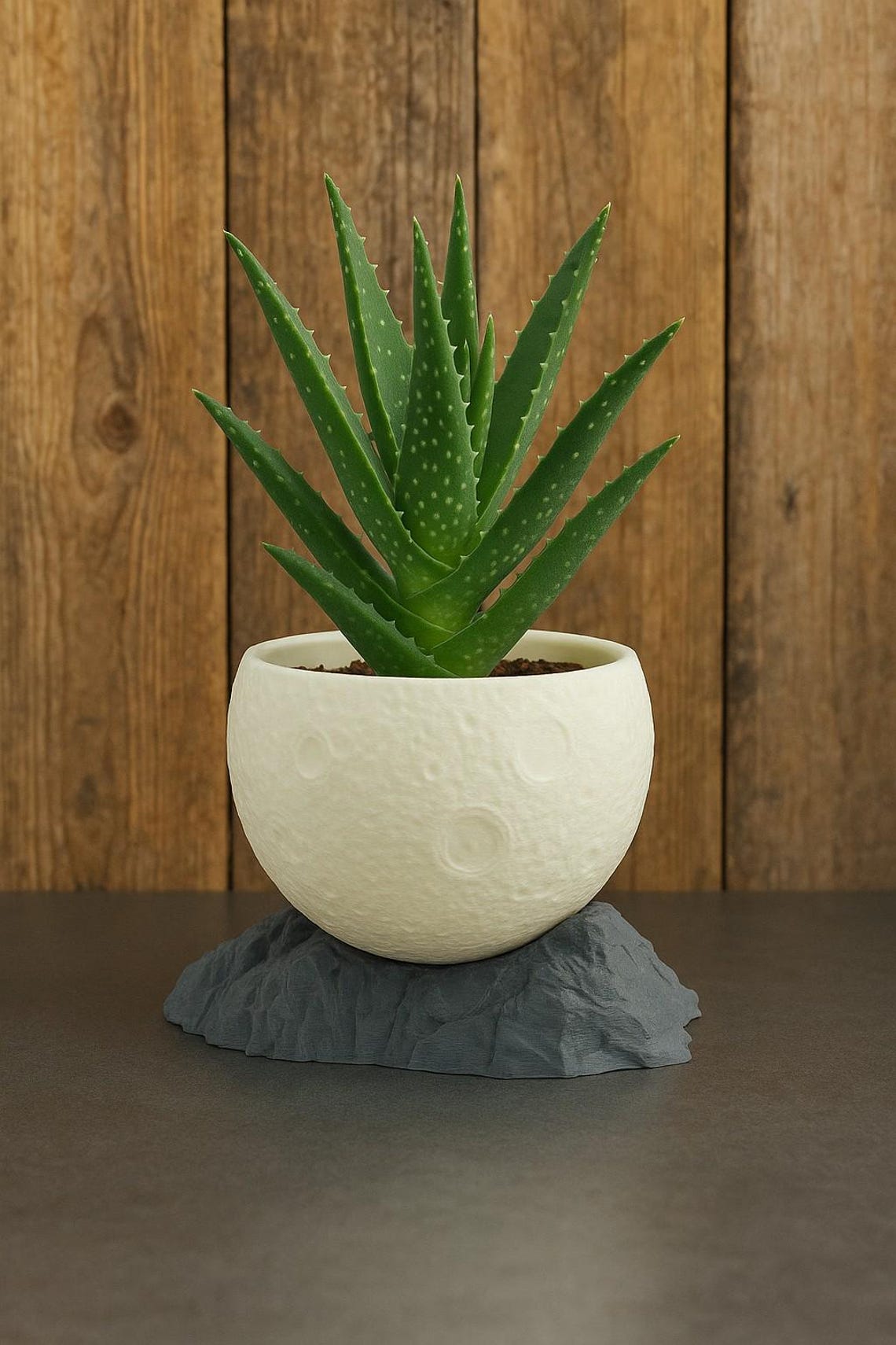 3D Printed Moon Planter – Crater Design With Drainage | 4x3.5x3.5 in ...