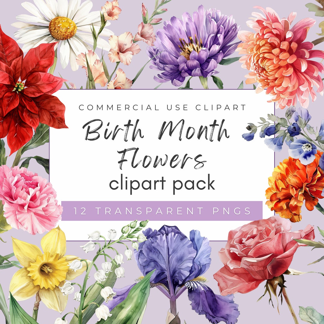 Watercolor Birth Month Flower Clipart: Floral PNG Bundle (digital ...