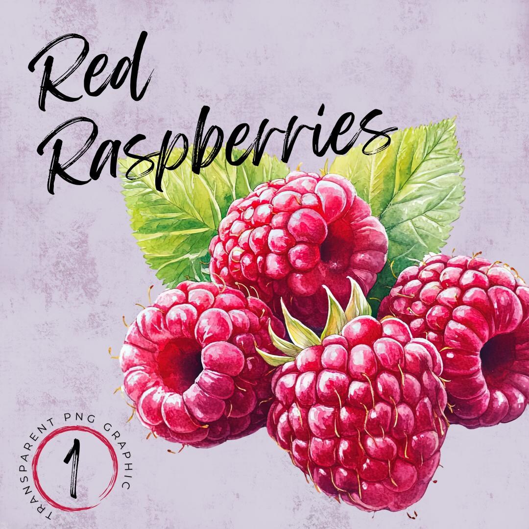 Red Raspberries Clipart | Tropical Fruit SVG | Raspberry PNG | Fruit ...