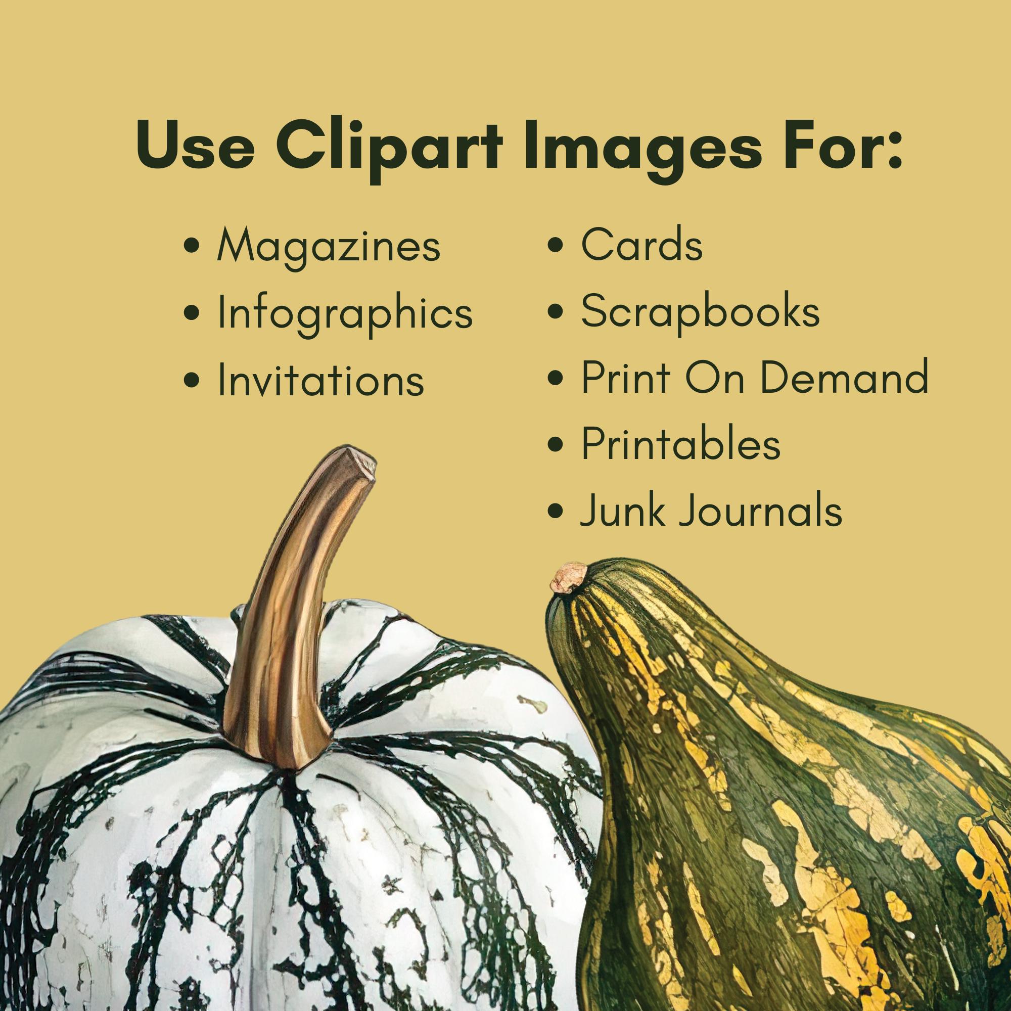 Autumn Gourds Clipart | Pumpkin Clipart | Gourd Svg Bundle | Autumn ...