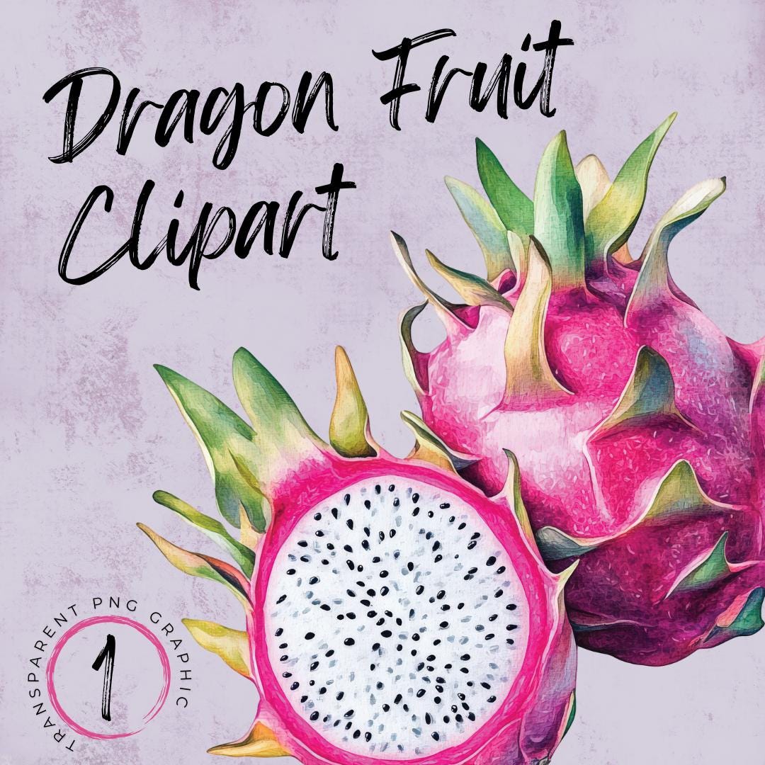 Watercolor Dragon Fruit Clipart: Tropical Summer PNG (digital Download ...