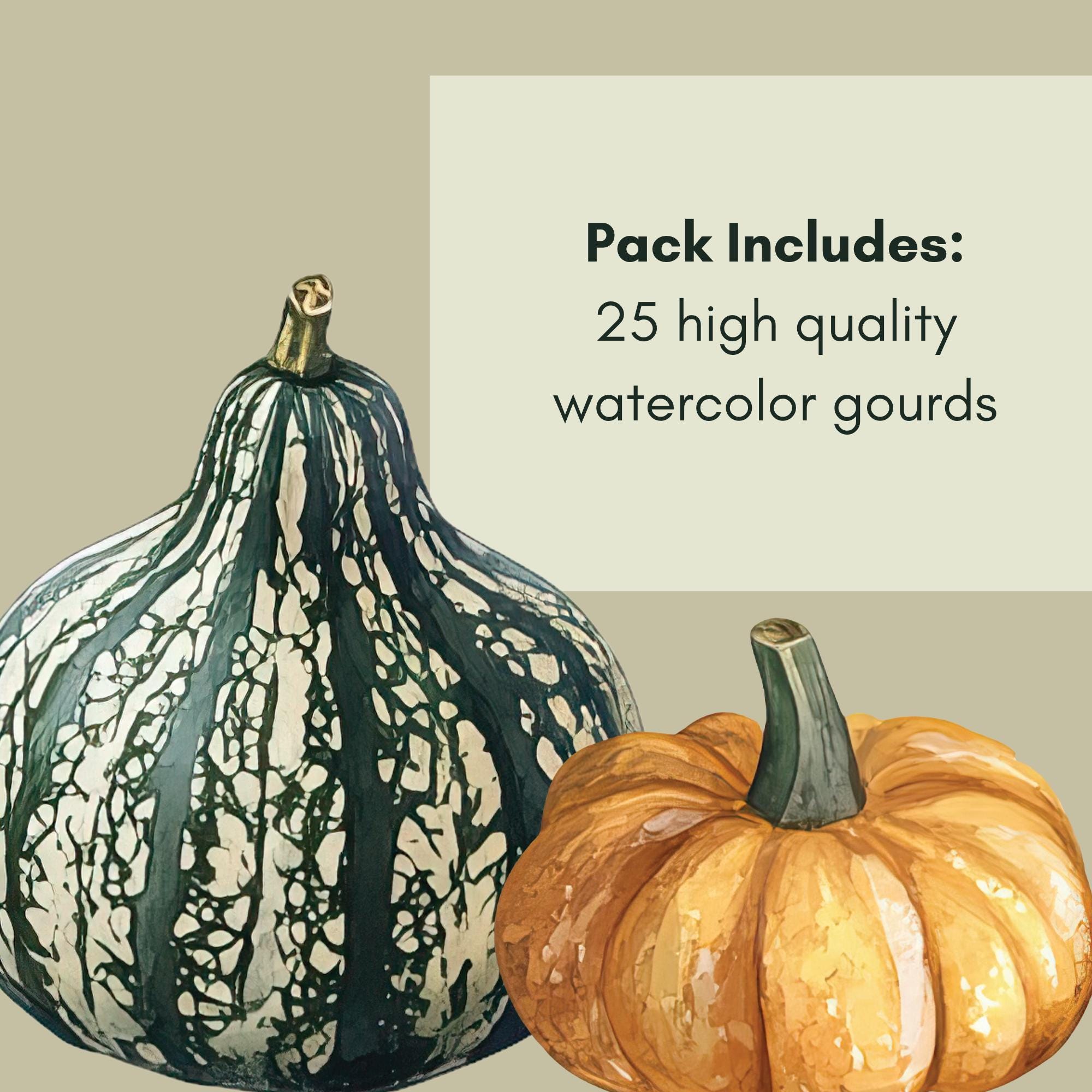 Autumn Gourds Clipart | Pumpkin Clipart | Gourd Svg Bundle | Autumn ...