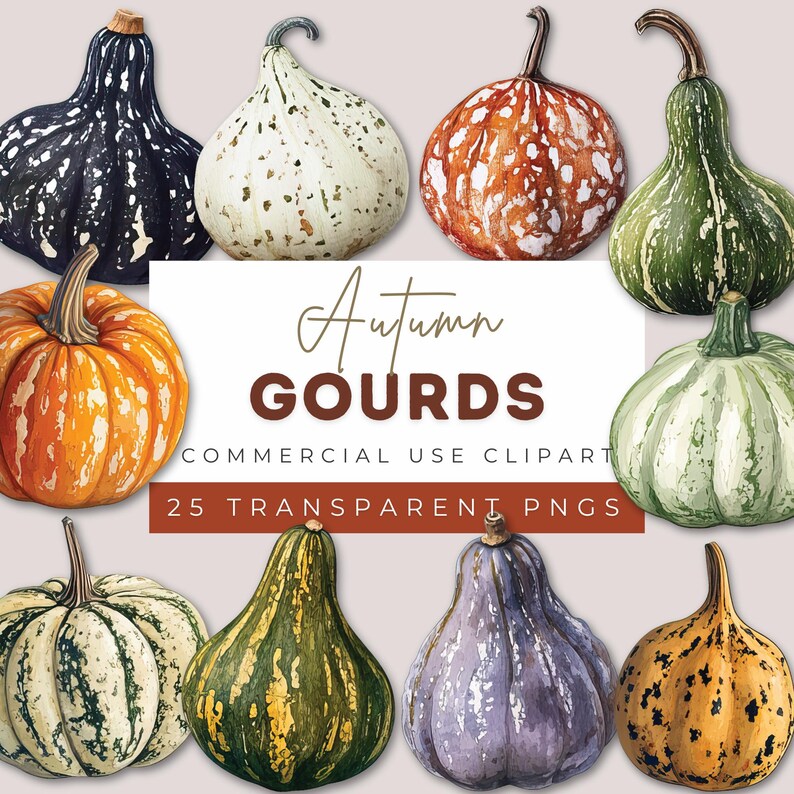 Autumn Gourds Clipart | Pumpkin Clipart | Gourd Svg Bundle | Autumn ...