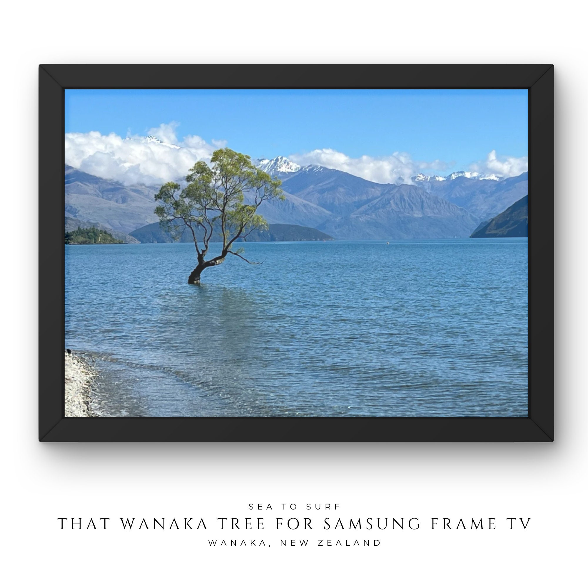 Frame TV Wanaka Art | That Wanaka Tree | Coastal-inspired Digital Art ...