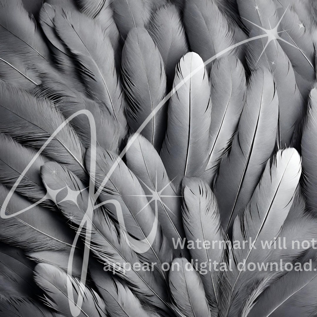 Grey Gray Feathers Digital Paper Digital Download Digital Scrapbooking ...