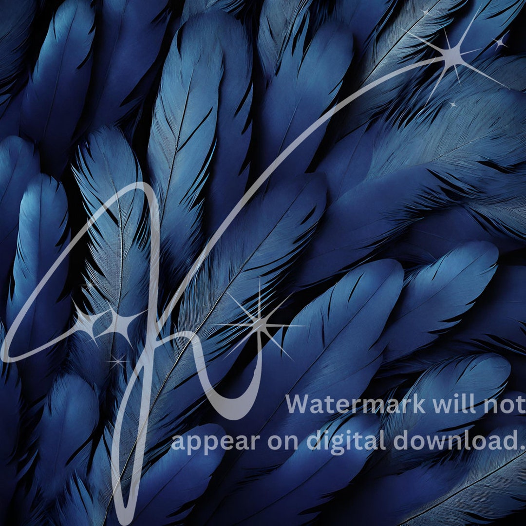 Dark Blue Feathers Digital Paper Digital Download Digital Scrapbooking ...