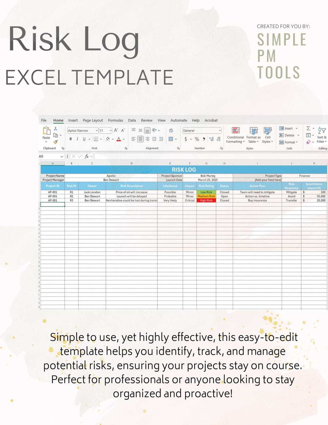 Risk Log Template- Project Management - Etsy