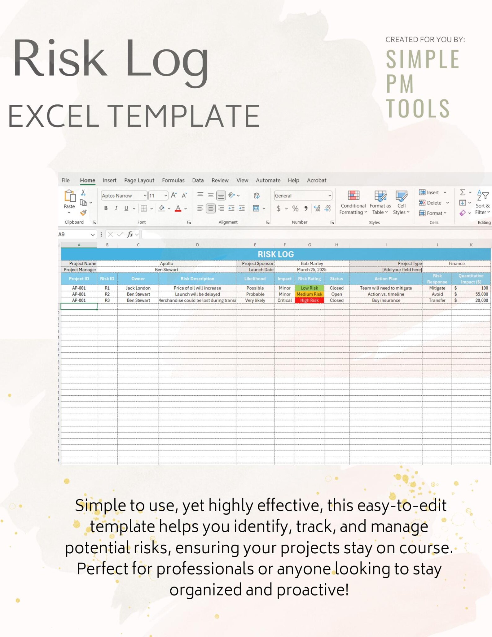 Risk Log Template- Project Management - Etsy