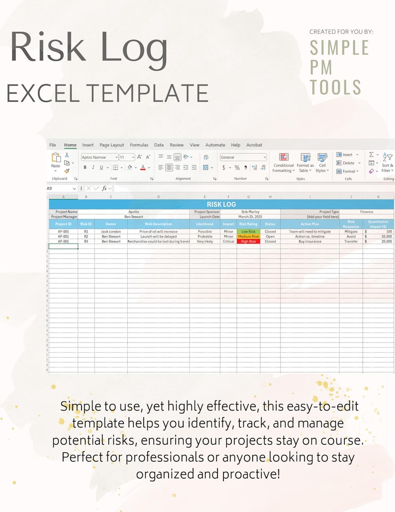 Risk Log Template- Project Management - Etsy