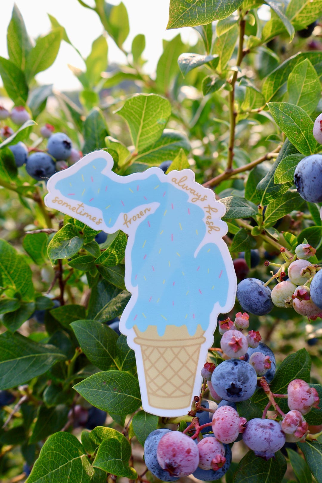 Michigan Waterproof Vinyl Sticker, Blue Moon Ice Cream, Michigan Summer ...