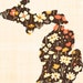 Michigan State Floral SVG PNG Digital Download - Etsy