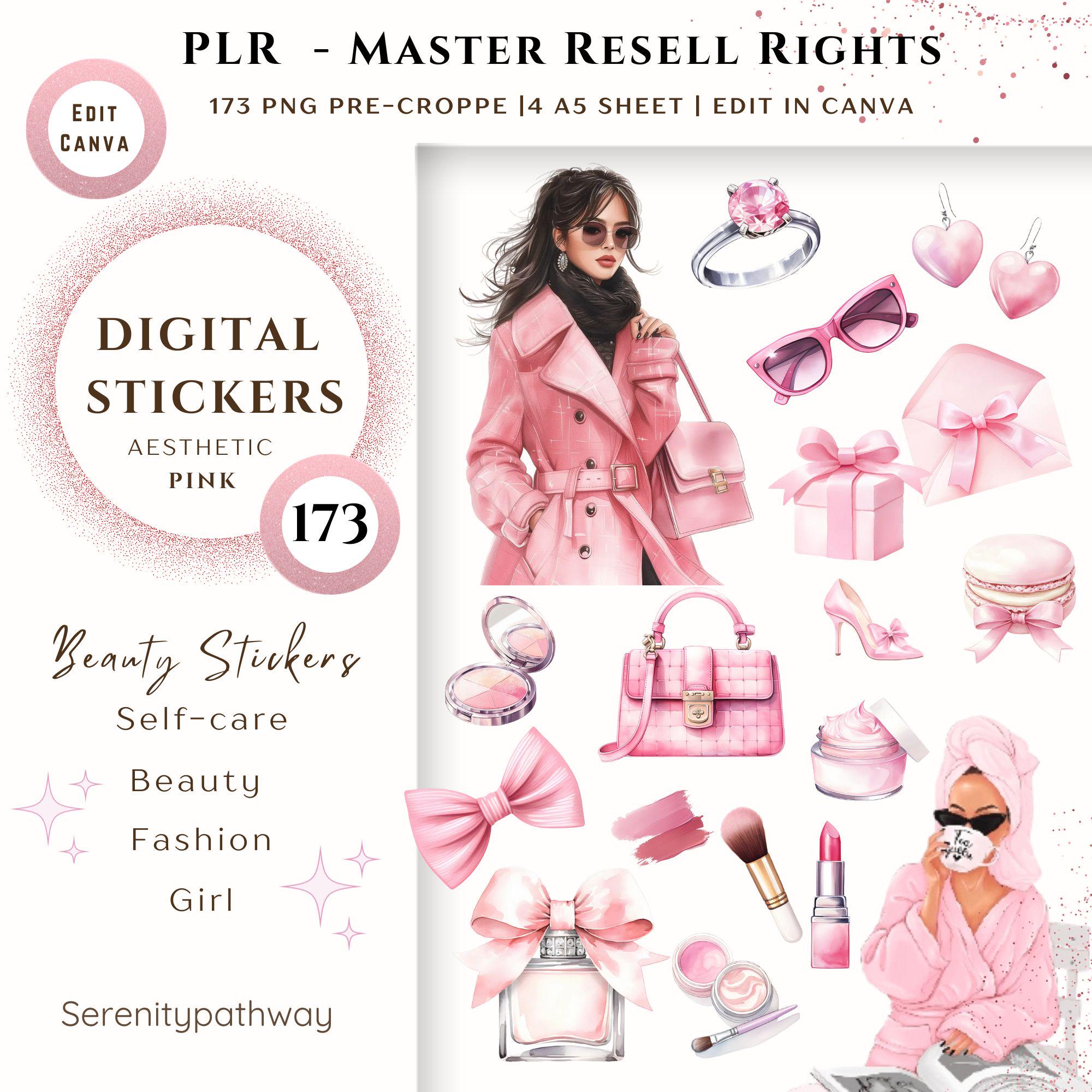 PLR MRR Digital Stickers, 173 Aesthetic Digital Sticker Sheets|canva ...