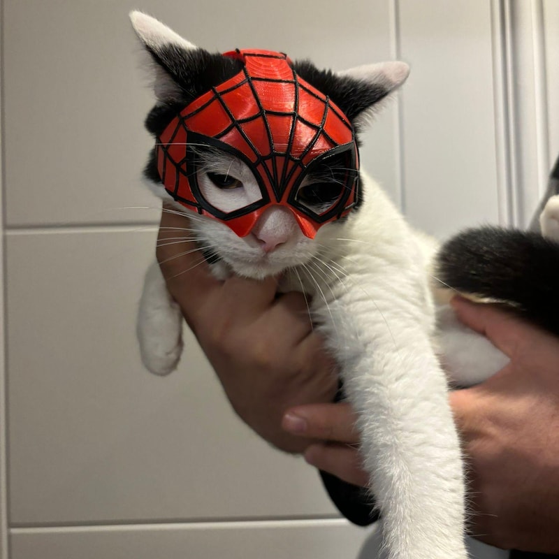 Spiderman Mask - Etsy UK