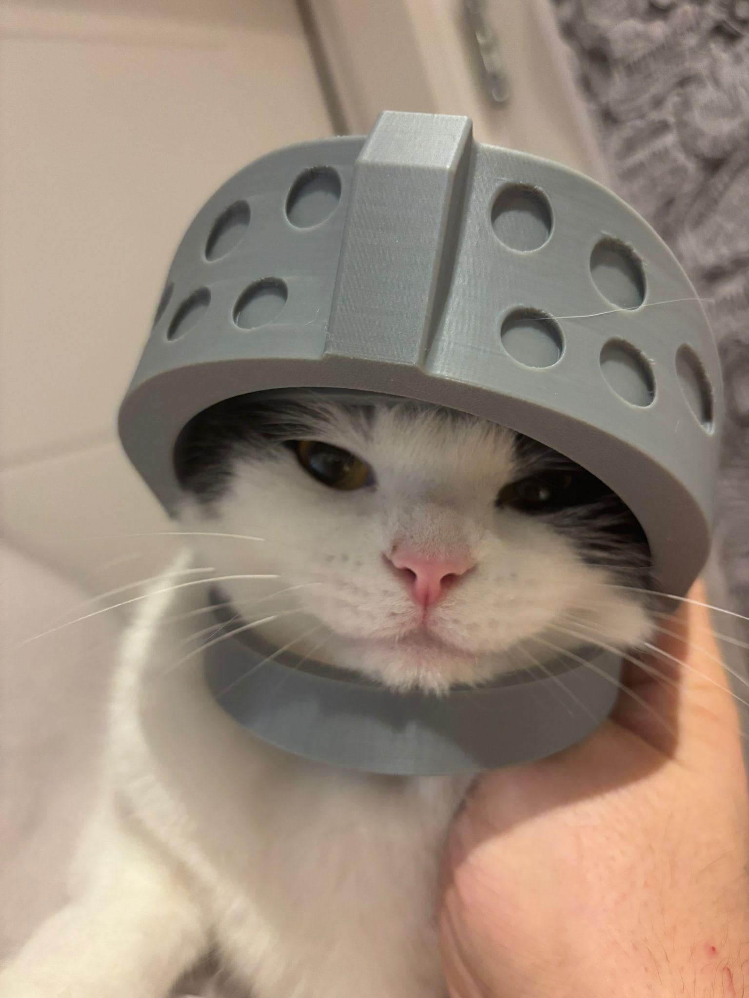 Knight Helmet for Cats With Moving Visor - One Size Fits Most - Etsy