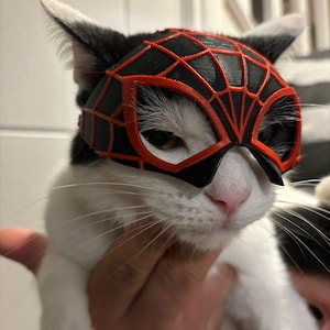 Spider-man Mask for Cats - Etsy