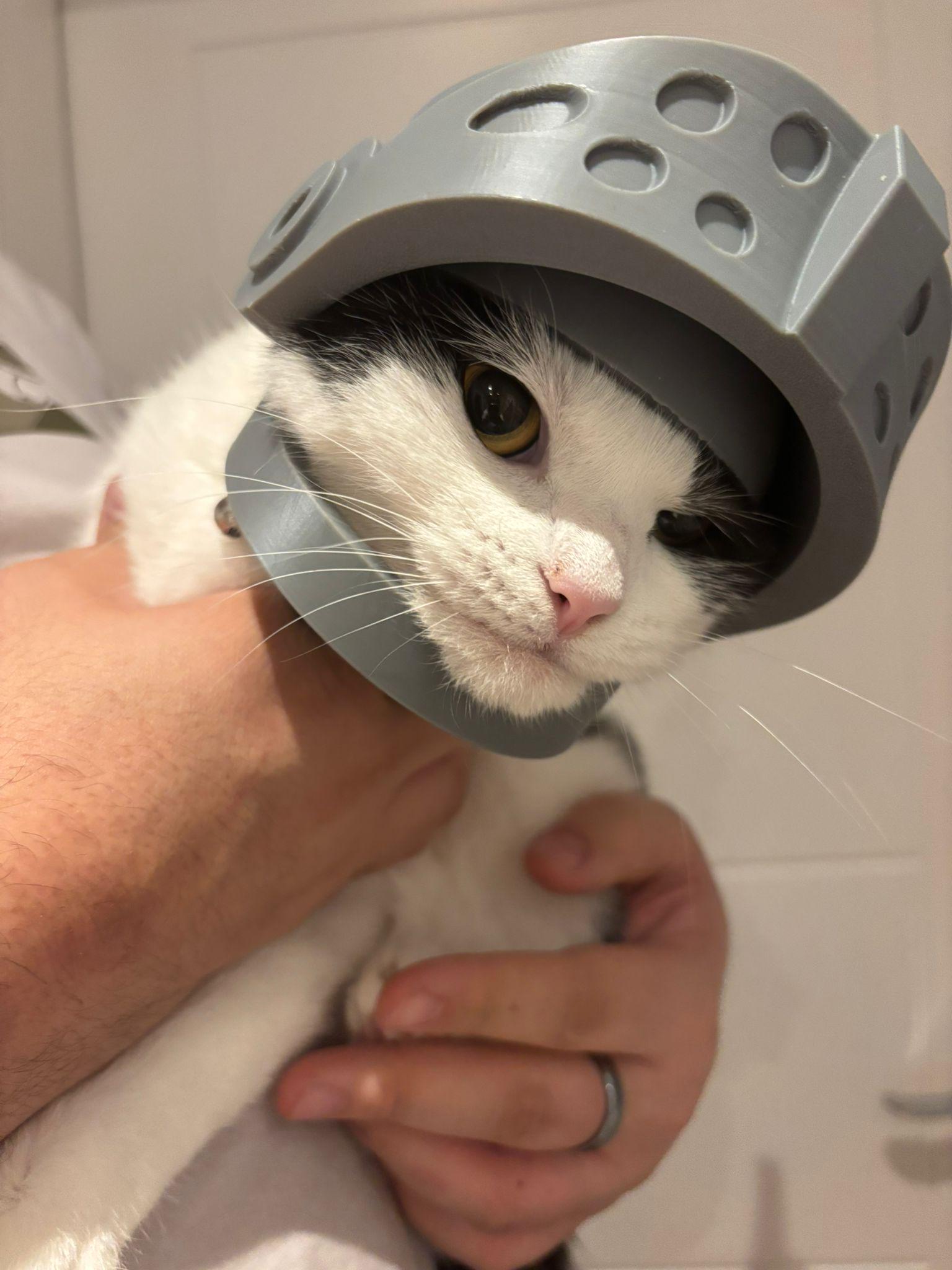 Knight Helmet for Cats With Moving Visor - One Size Fits Most - Etsy