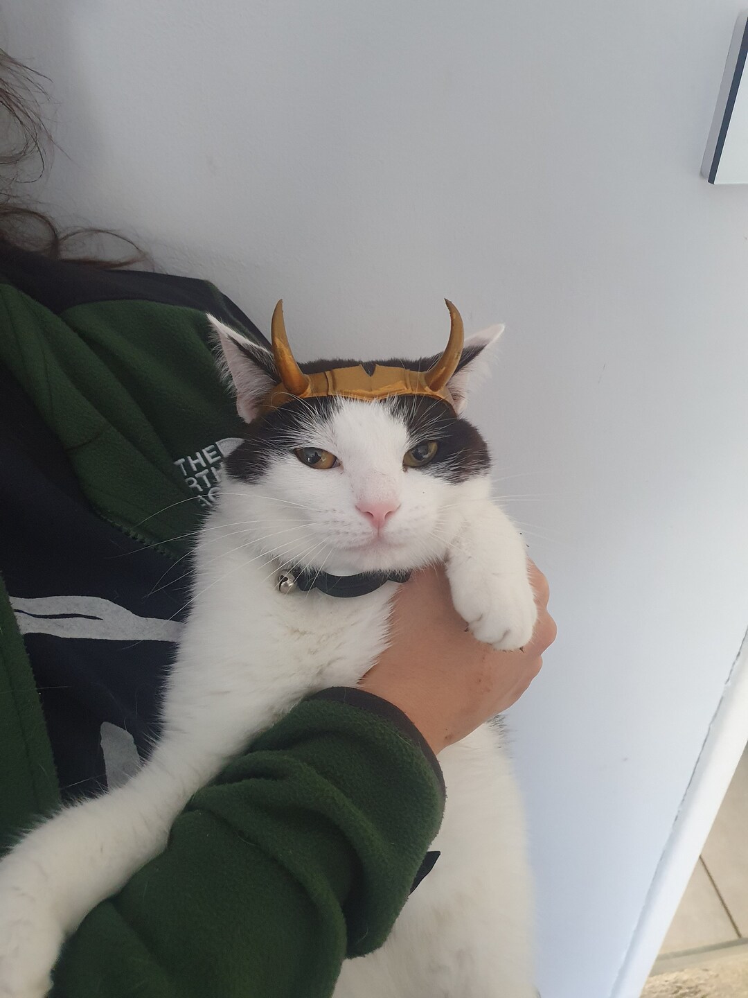Mischievous Kitteh? 3D Printed Loki Cat Horns - Etsy