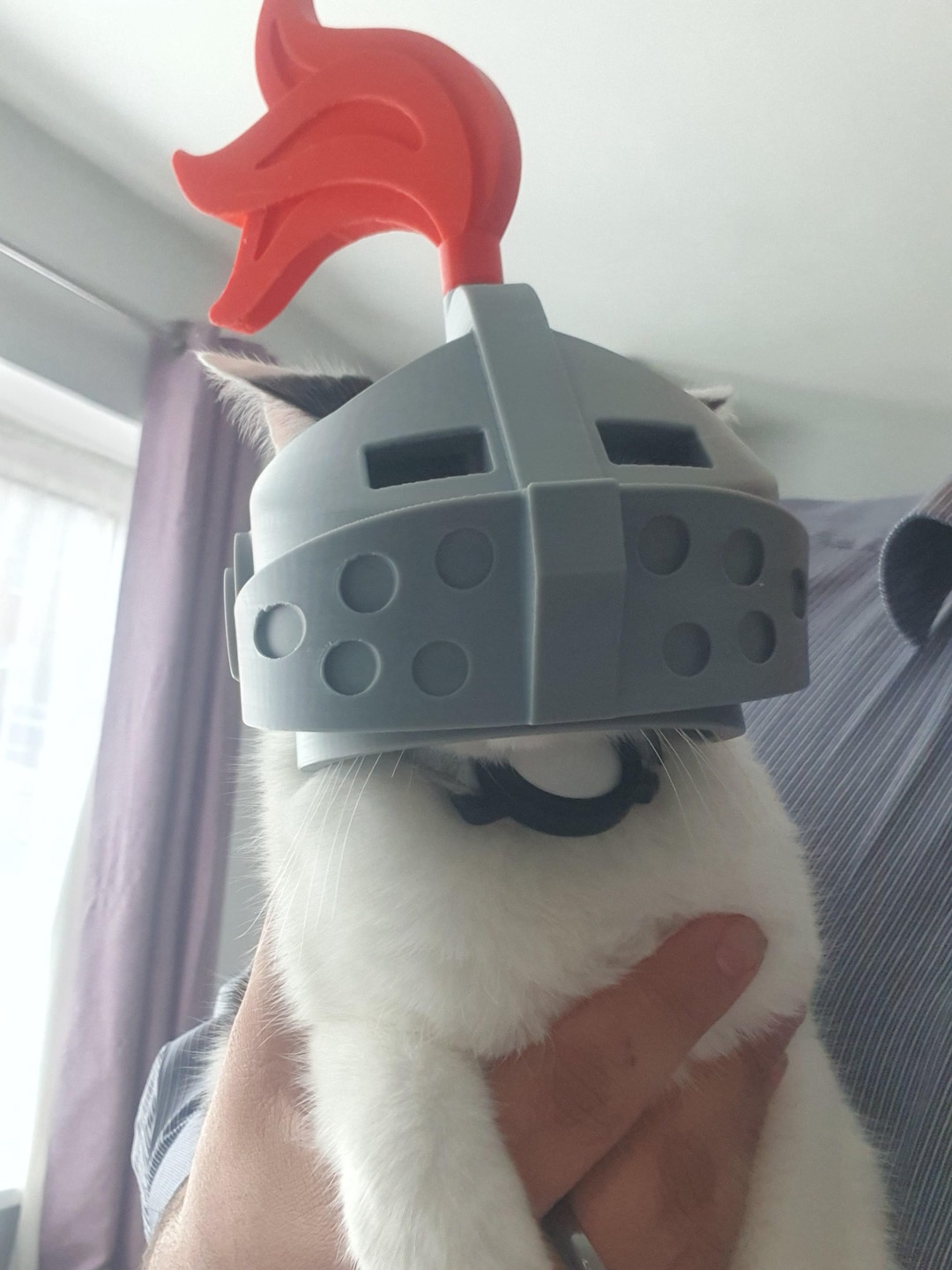 Knight Helmet for Cats With Moving Visor - One Size Fits Most - Etsy