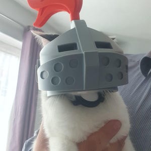 Knight Helmet for Cats With Moving Visor - One Size Fits Most - Etsy