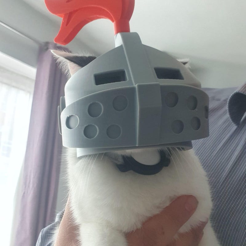 Cat Helmets 3d Print - Etsy