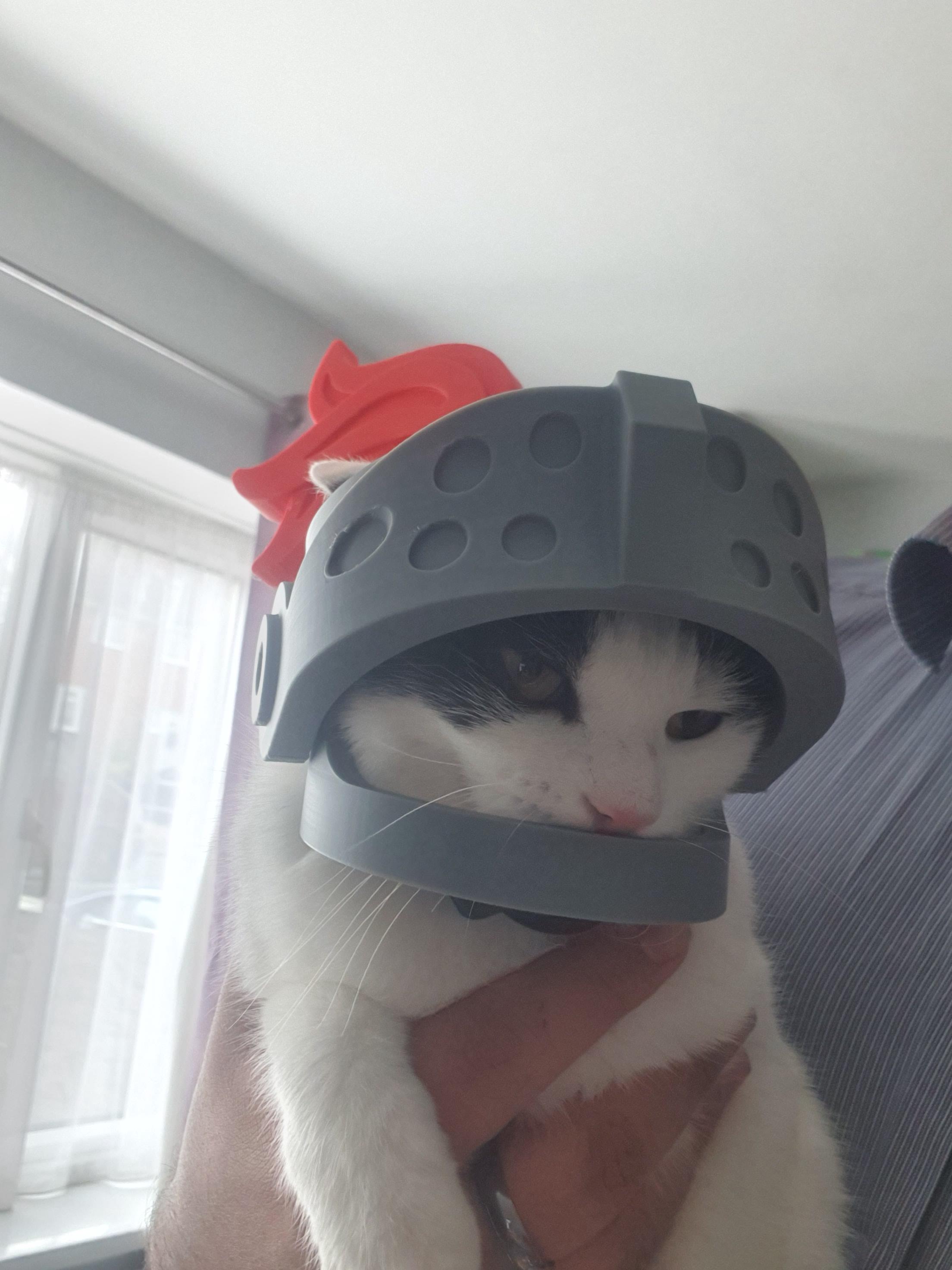 Knight Helmet for Cats With Moving Visor - One Size Fits Most - Etsy